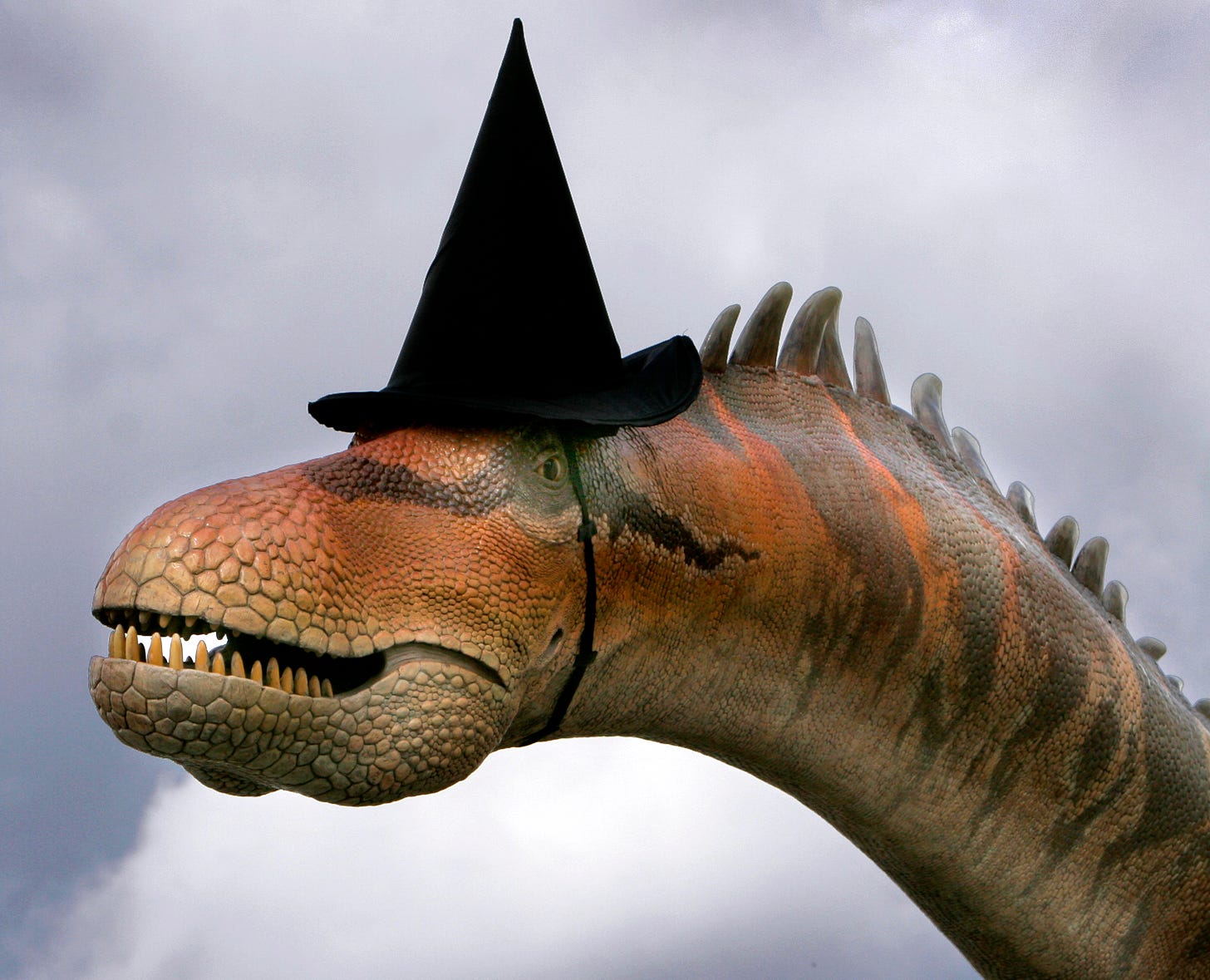 Halloween, Taylor Swift and WWE: All the times the Children's Museum ...