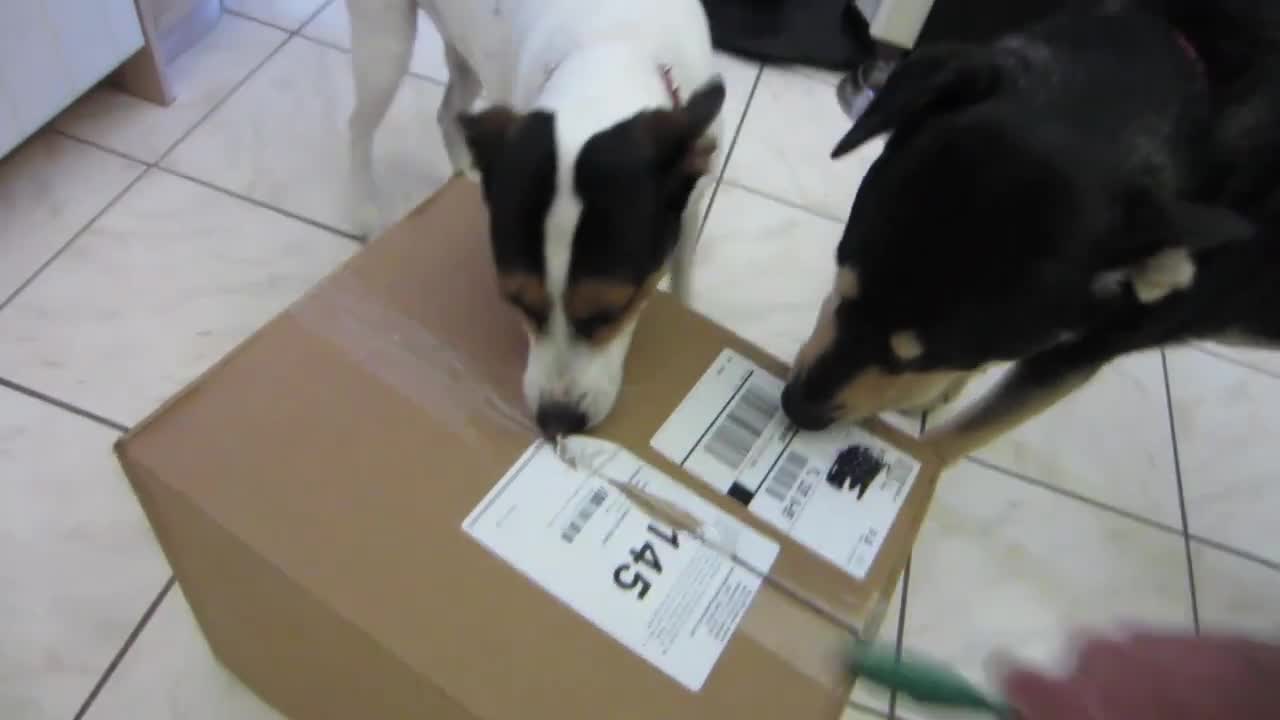 Shadowood Square shopping center west of Boca Raton to undergo major ...