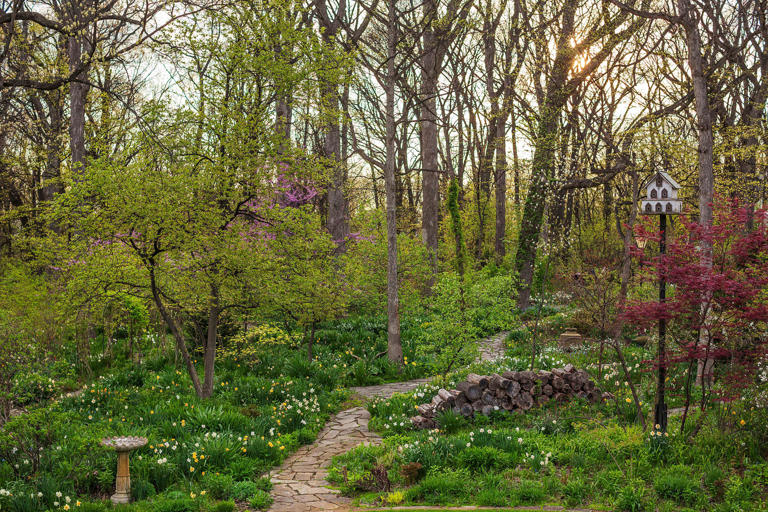 8 Types of Trees You Should Never Prune in Spring—Here’s Why