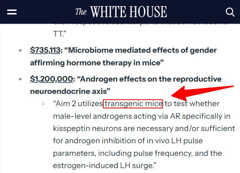 La Casa Bianca difende la bufala di Donald Trump sui «topi transgender ...