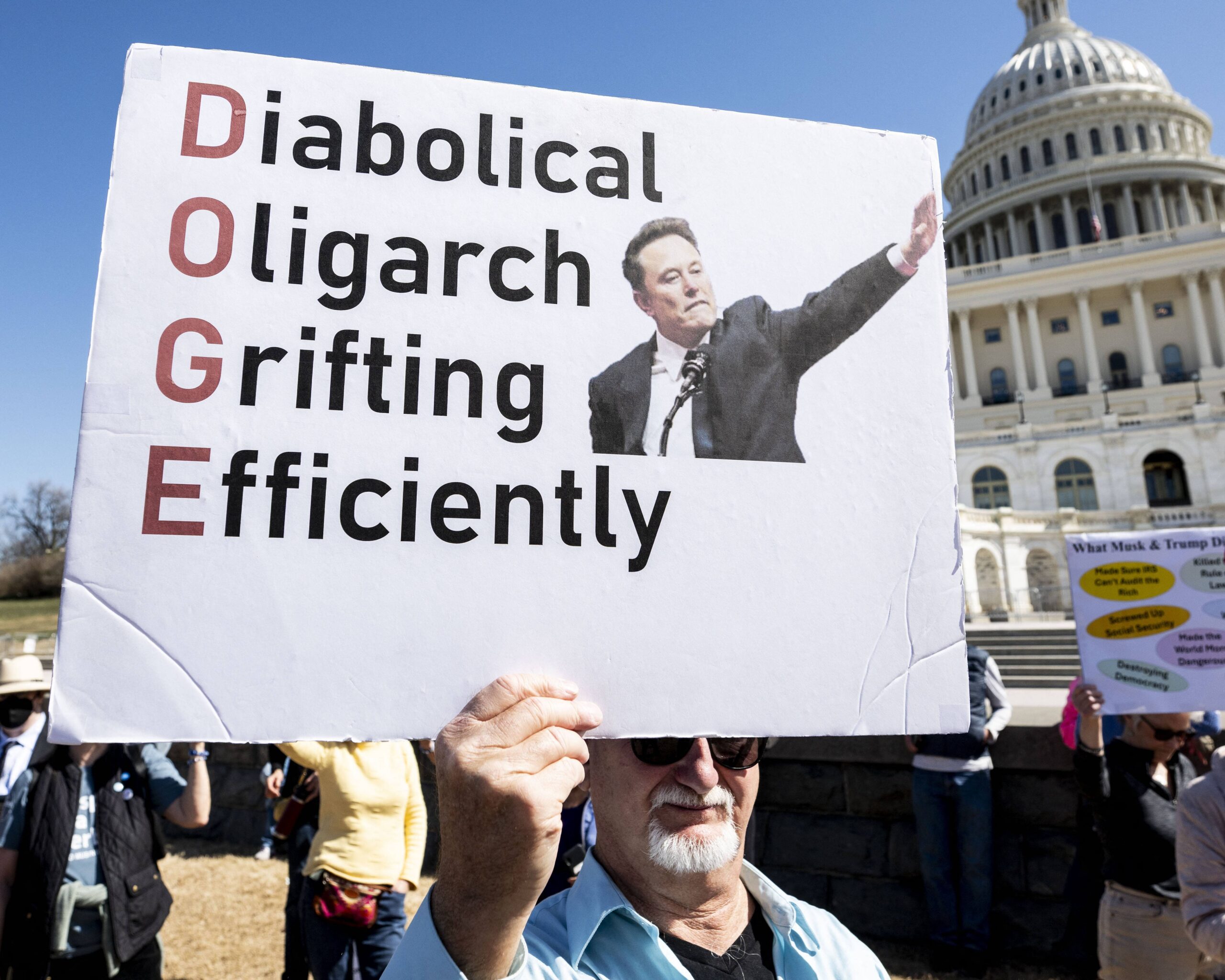 Musk and DOGE Protestors Rally at the Capitol