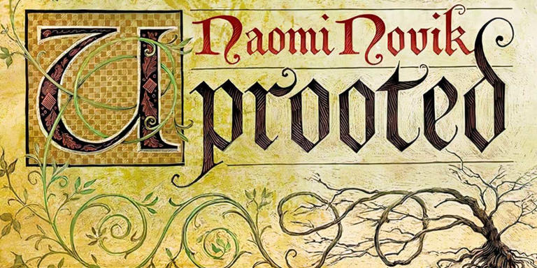 10 Great Romantasy Books Where The Protagonist Falls For The Villain