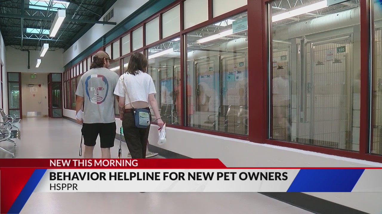 HSPPR offers dog Behavior Helpline to overcome challenges