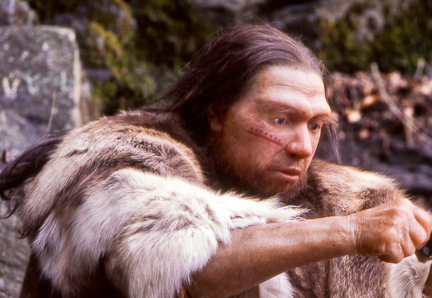 Ranked: the longest-living car engines