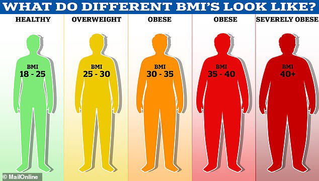 Scientists discover 'fat gene' that hardwires you for obesity