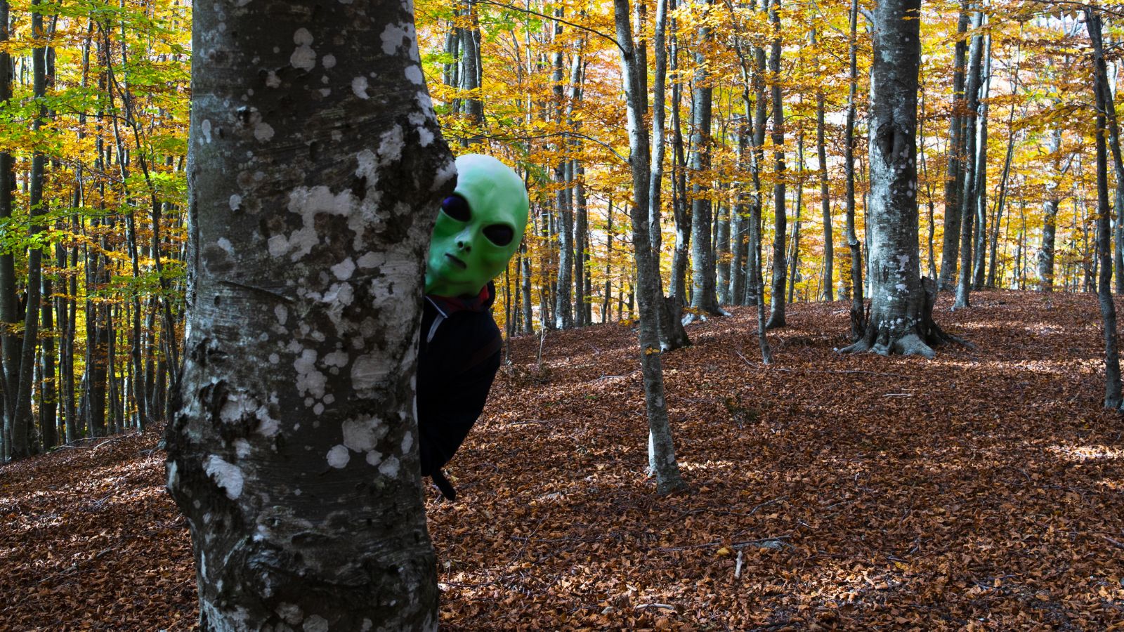 17 Popular Alien Theories That Try to Explain Why We’re Alone