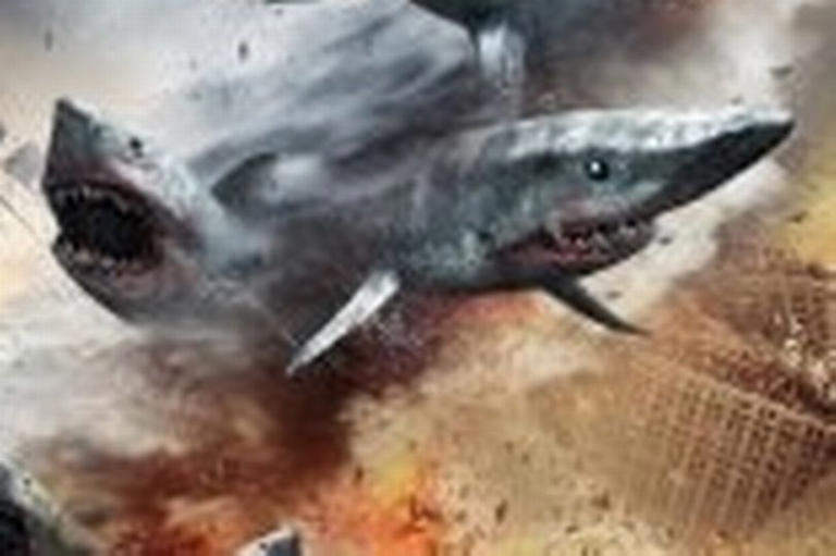 'Sharkcano' launches hammerheads across the ocean after giant ...