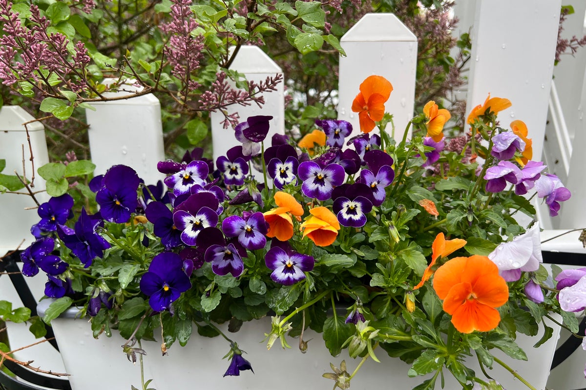 Spring's official start is nearly here and there's work to do in the ...