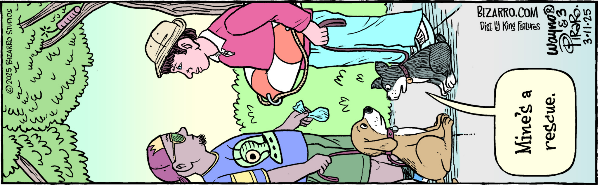 Bizarro by Wayno & Piraro