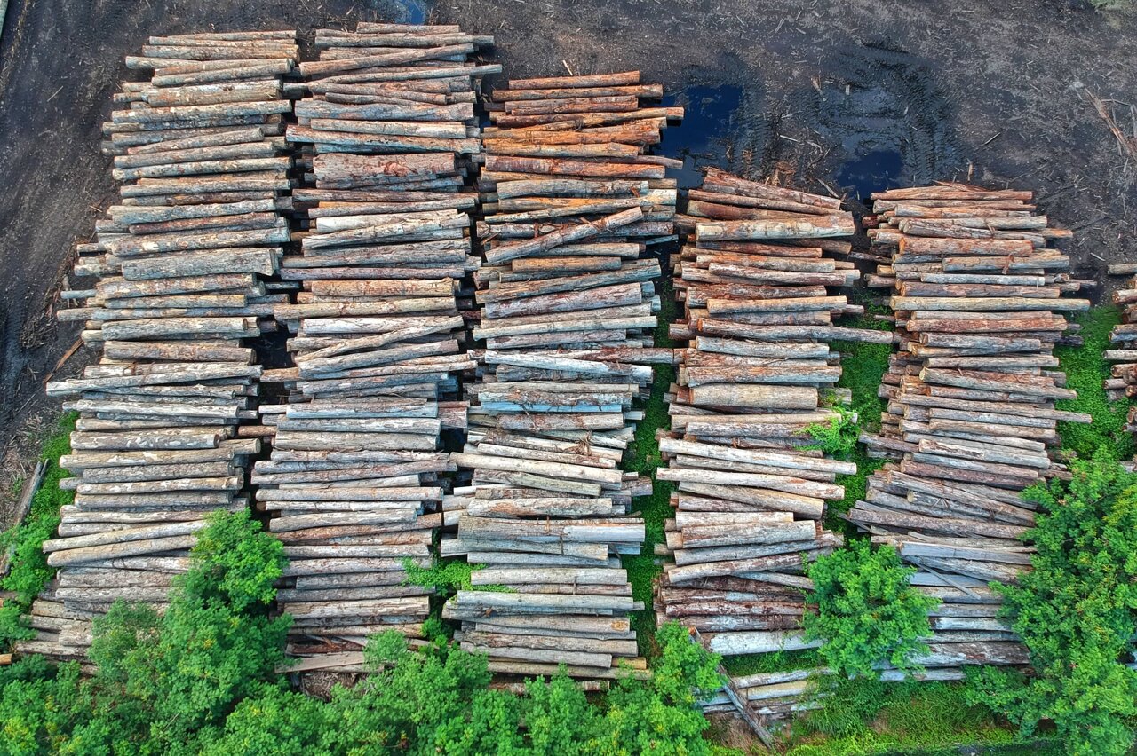 Deforestation may push Amazon degradation threshold below 2°C warming