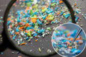 Microplastics may be creating antibiotic-resistance superbugs