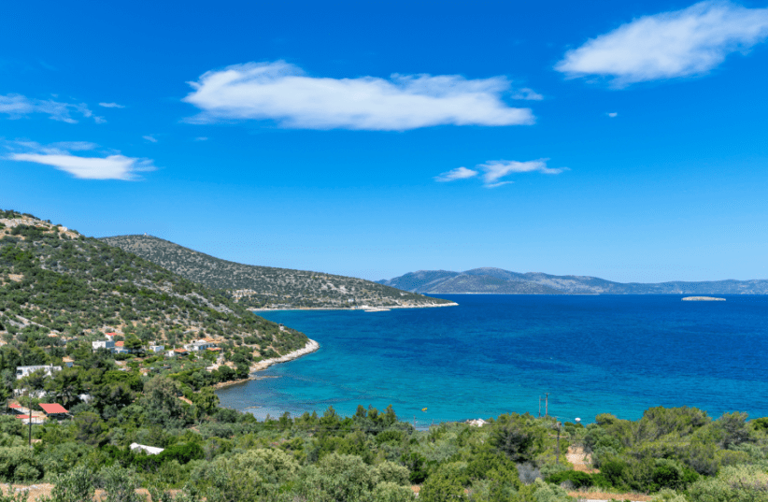 Newspapers, telegrams retrieved from the wreckage of SS Heimara, ‘The ...
