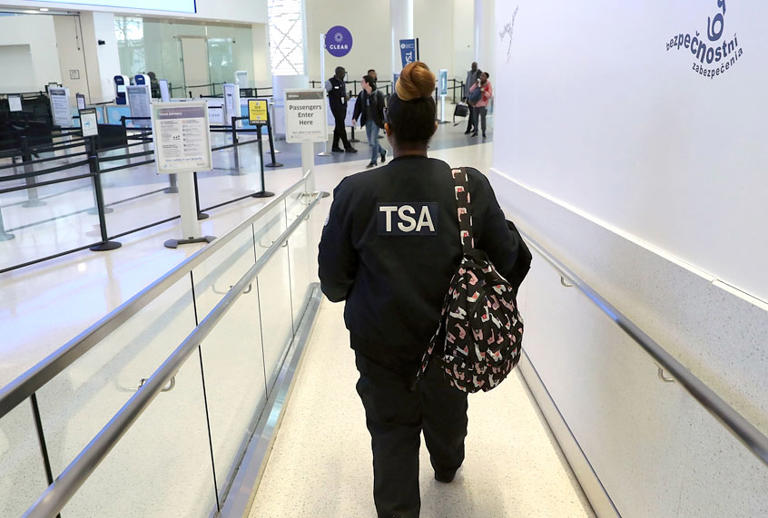 “PATCO on steroids”: Trump’s TSA union busting sparks calls for a ...