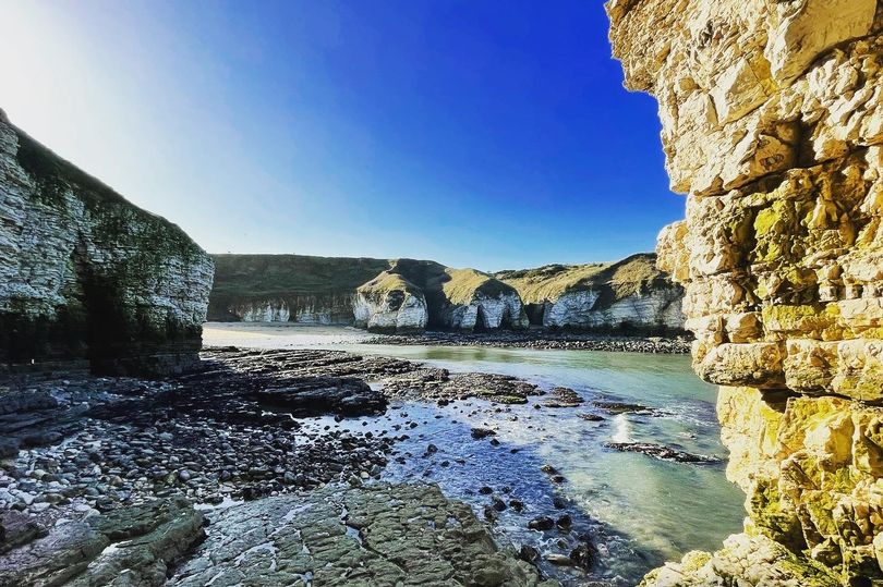 'Devastating triple whammy' for sea life after tragic tanker crash ...