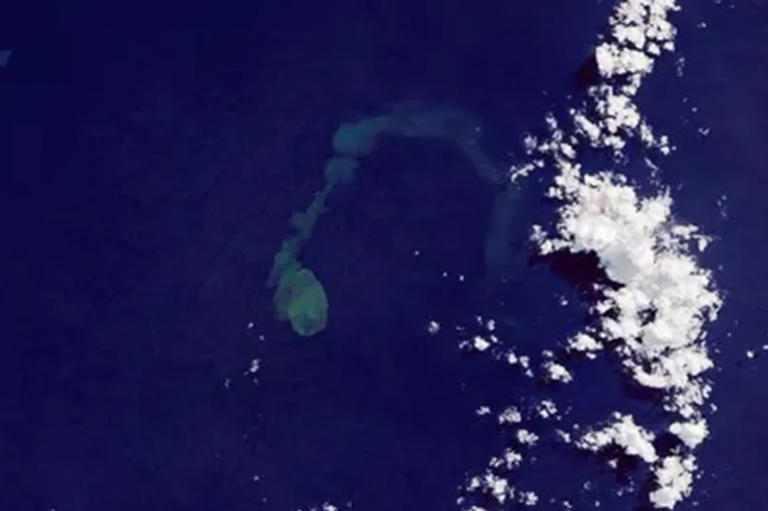 'Sharkcano' launches hammerheads across the ocean after giant ...