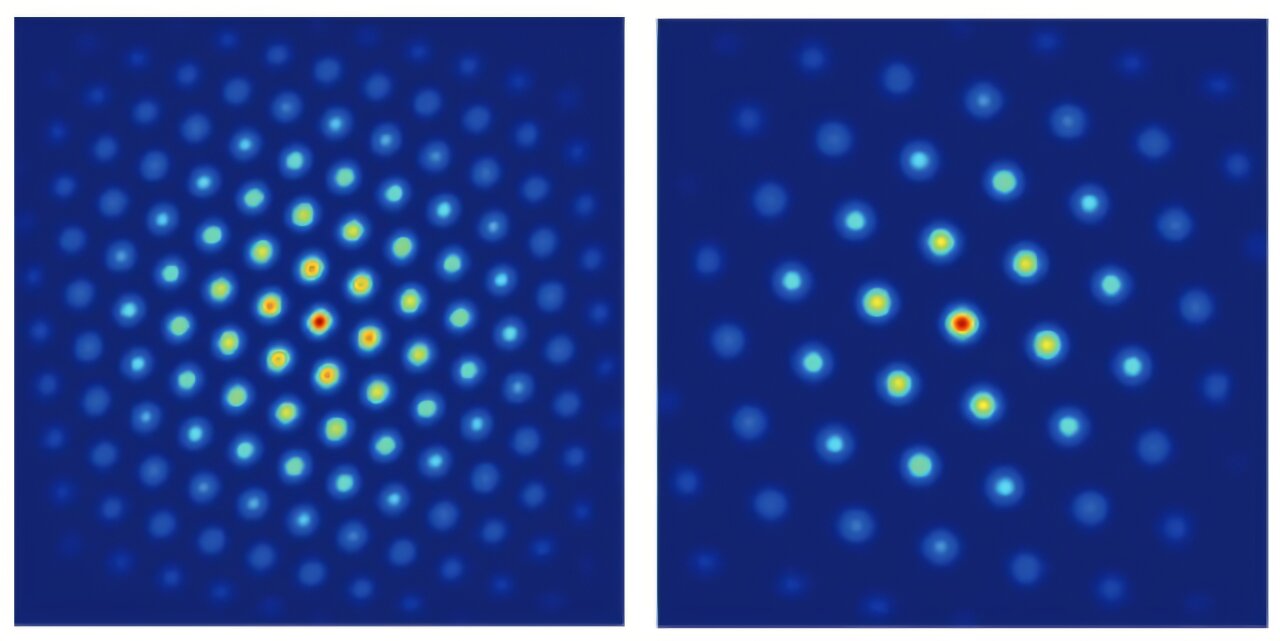 How nature organizes itself, from brain cells to ecosystems