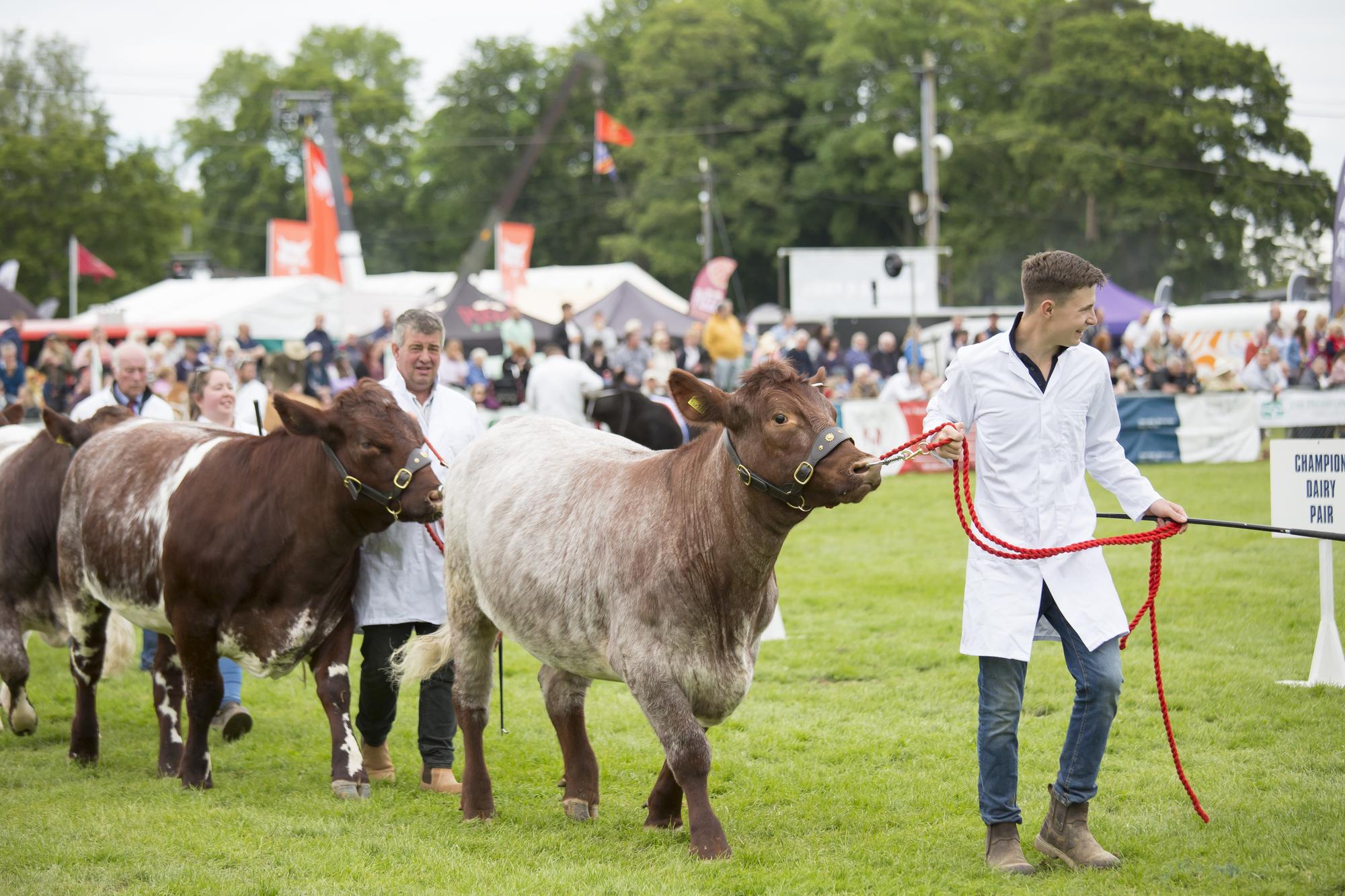 The popular South of England Show is set to return this June