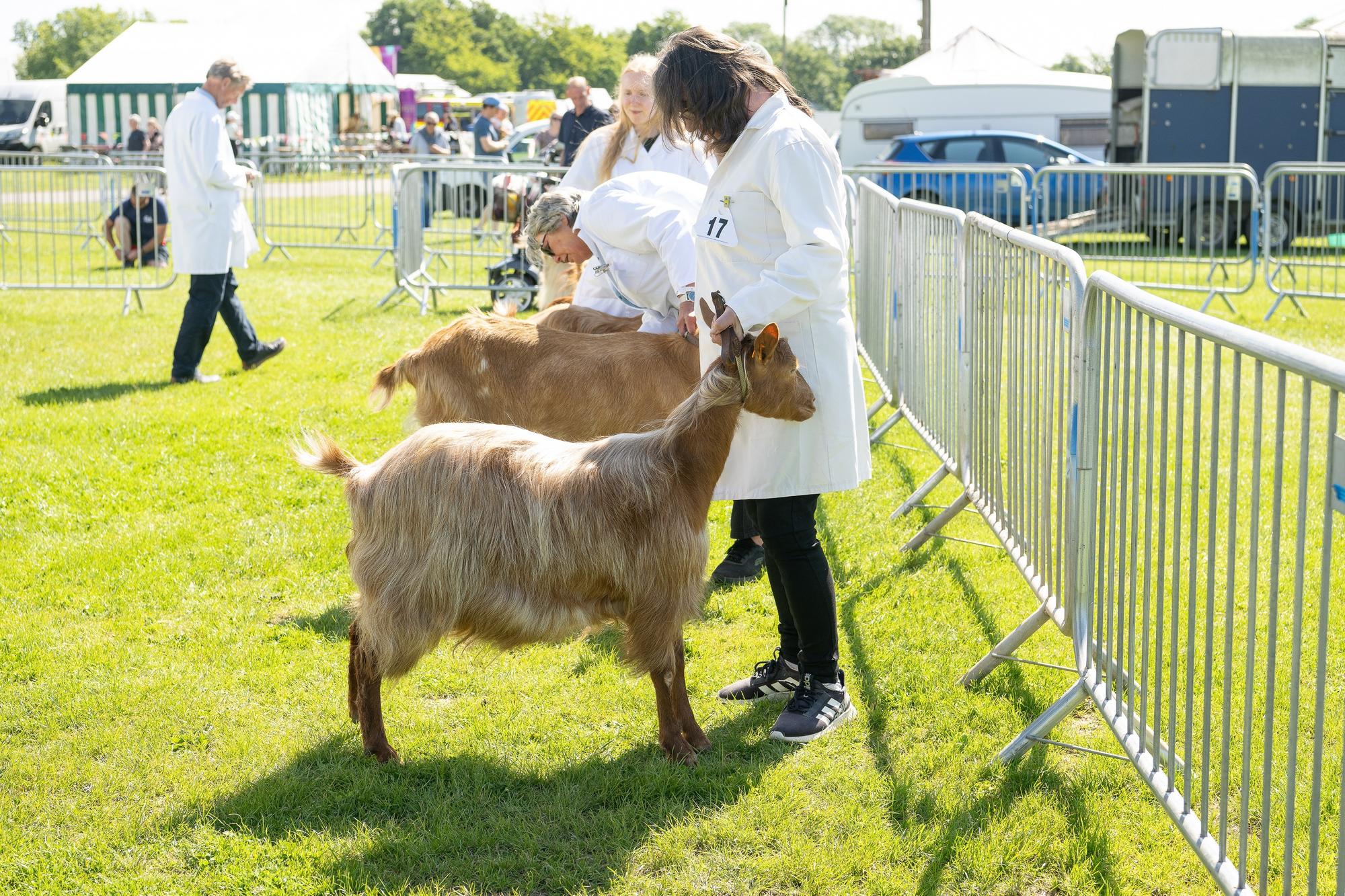 The popular South of England Show is set to return this June