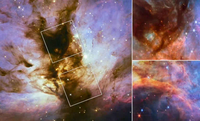 NASA’s Webb Telescope Unveils the Universe’s Tiniest Free-Floating Worlds in the Flame Nebula ...