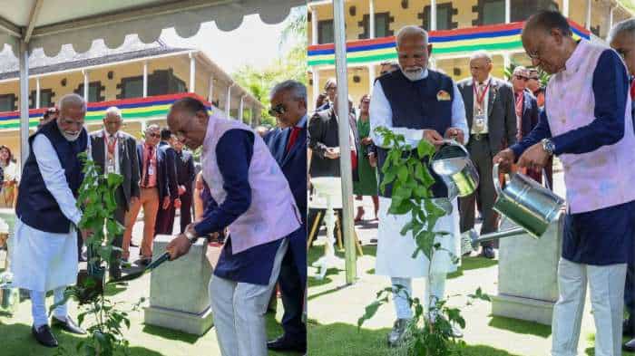 PM Modi expands 'Ek Ped Maa Ke Naam' initiative globally with tree ...