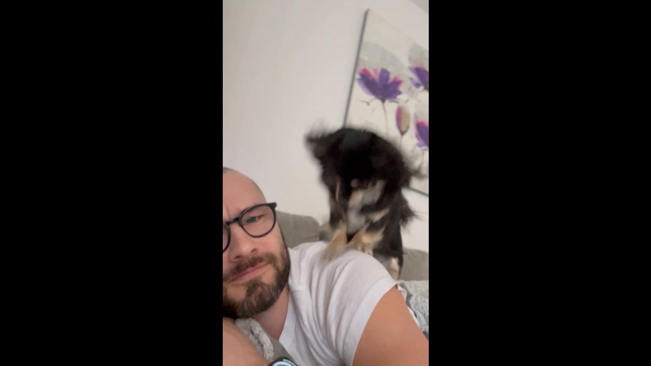 Little Dog Gives Guy a Massage