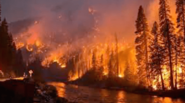 Wildfire season is here. Helene and DOGE could make it worse.