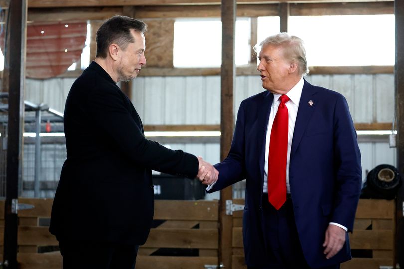 Donald Trump throws support behind Elon Musk by making wildly ...