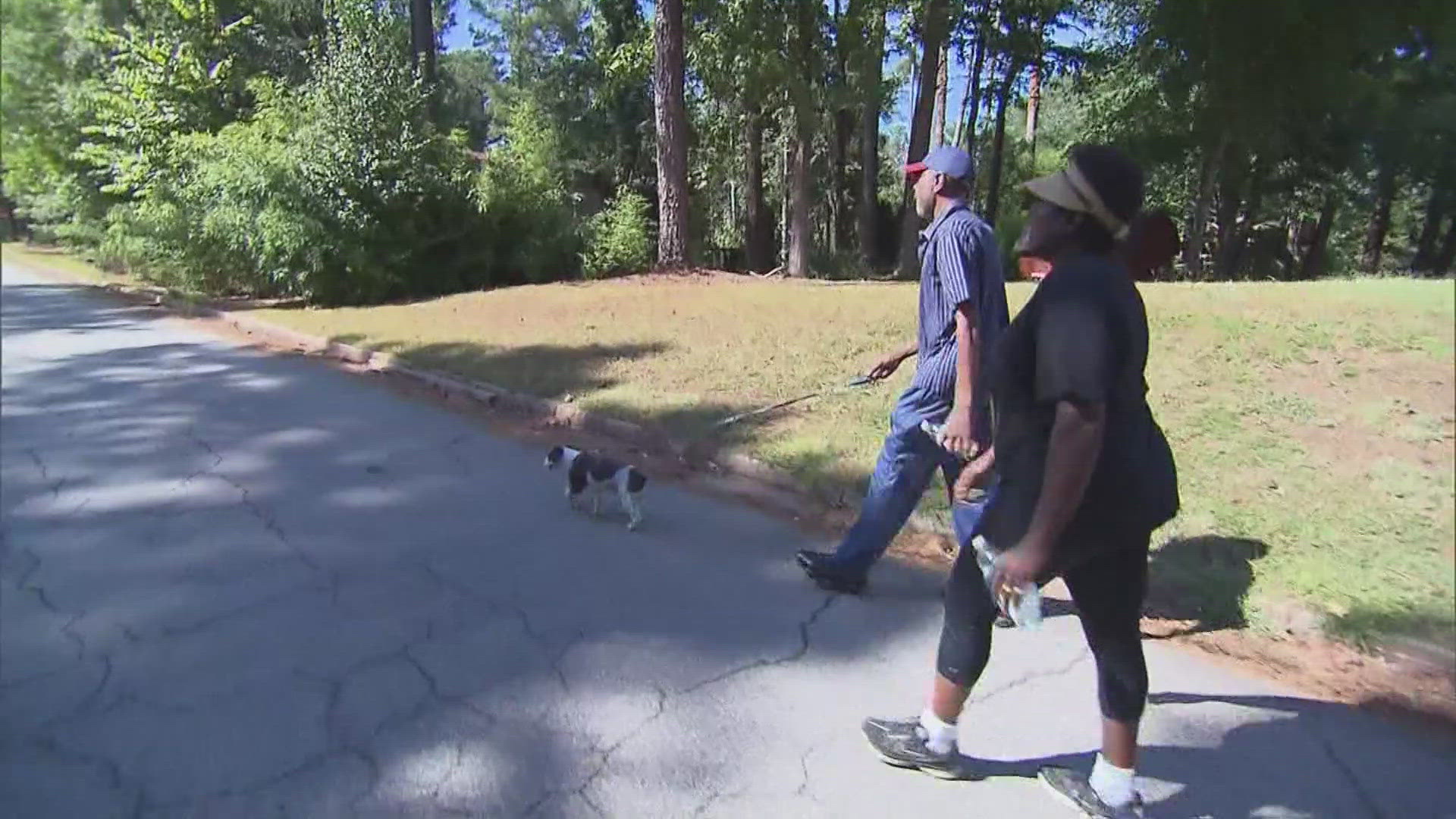 Poor digestive health impacts 11 million Americans