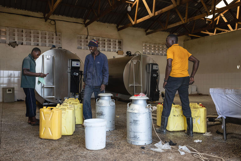 How one controversial pipeline reveals the state of the global fight ...