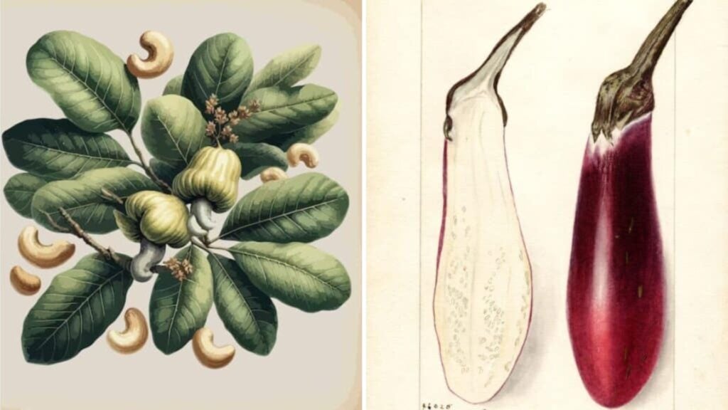 22 Foods That Used to Be Considered Poisonous (Or Actually Were)