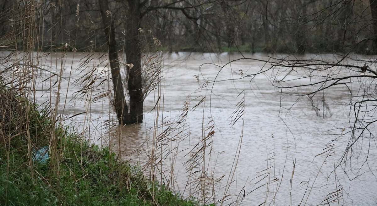 La población de Alcalá, en alerta: el río Henares alcanza su máximo ...