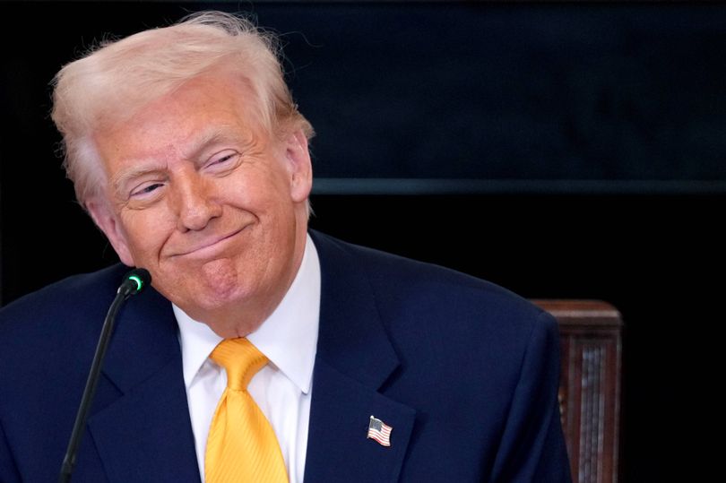 Donald Trump sandwich served up at Canadian cafe comes with 'small ...