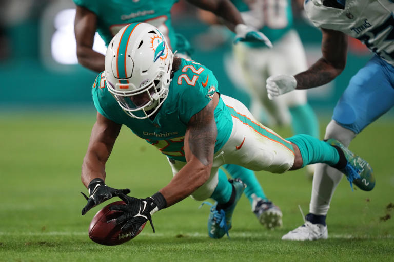 Dolphins bringing back safety, special teams ace