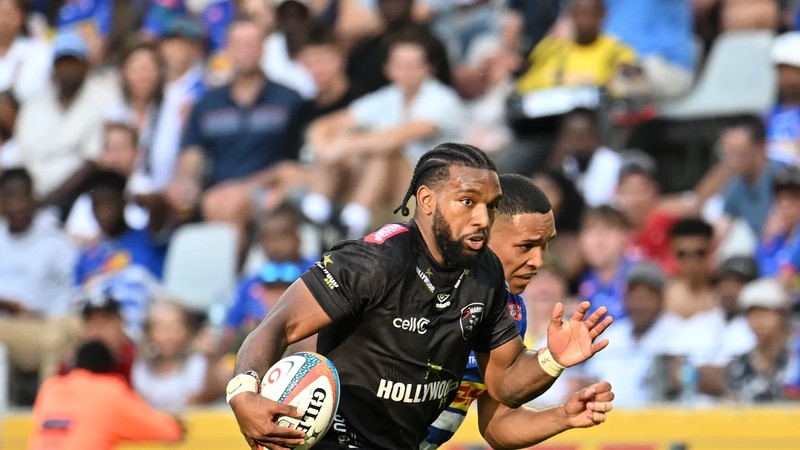 Five players who can showcase ‘point of difference’ Rassie Erasmus ...