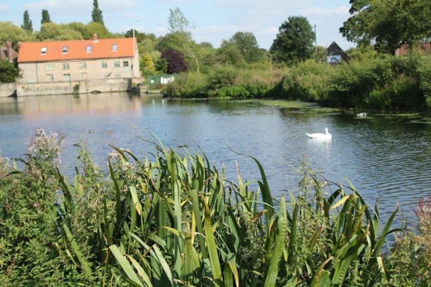 Have you visited these nine nature reserves in Mansfield?
