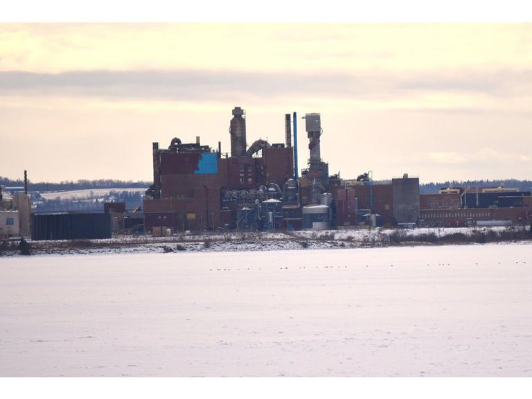 New Queens County pulp mill would need government support: Northern Pulp