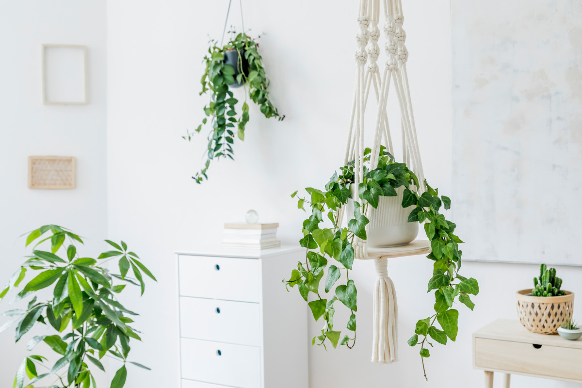 Aldi's New Anthropologie-Esque Boho Plant Stand Is Guaranteed To Sell Out