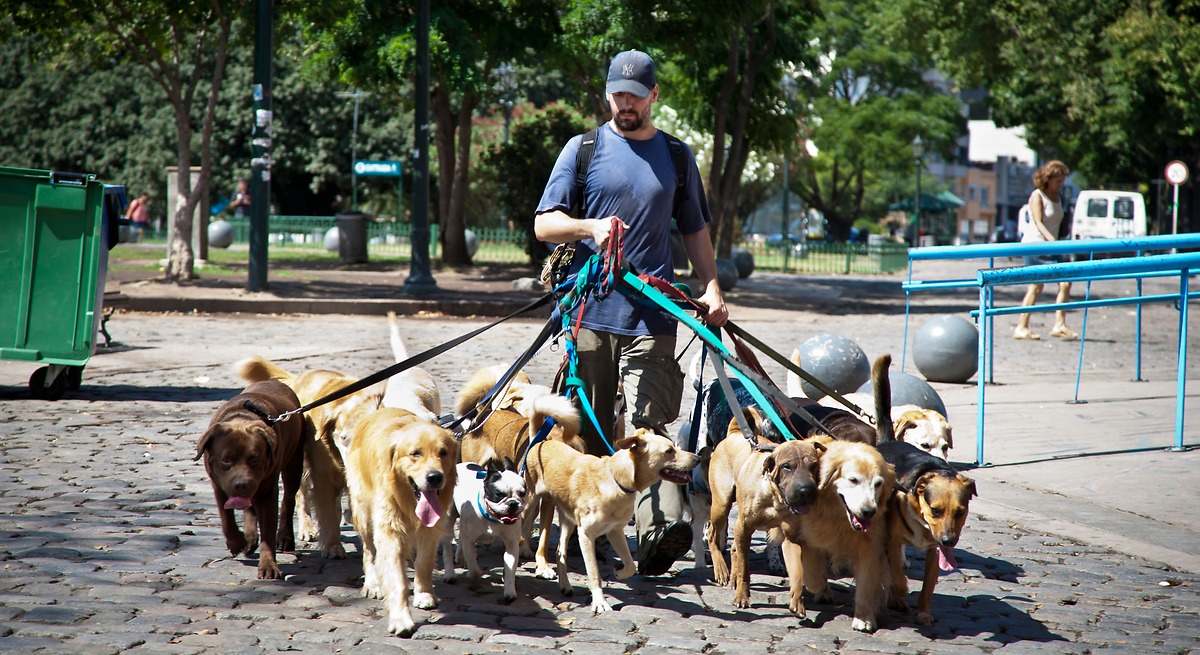 Los 10 trabajos secundarios mejor remunerados en 2025, algunos de los ...