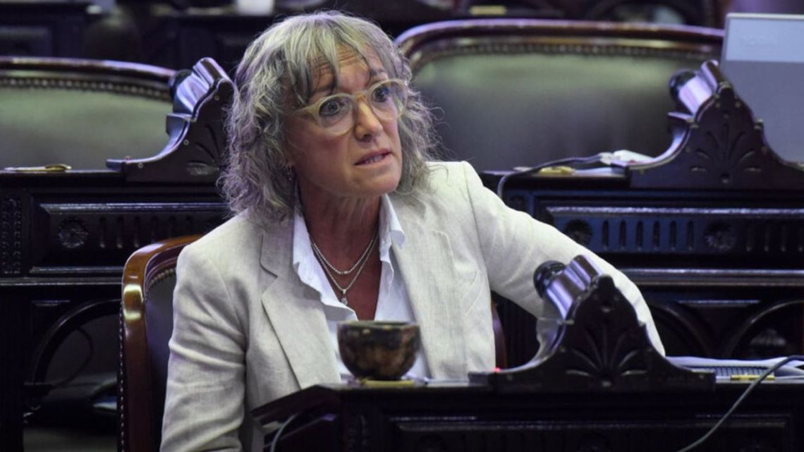 Mónica Frade: "Vamos a seguir adelante a pesar de los niños Menem y del ...