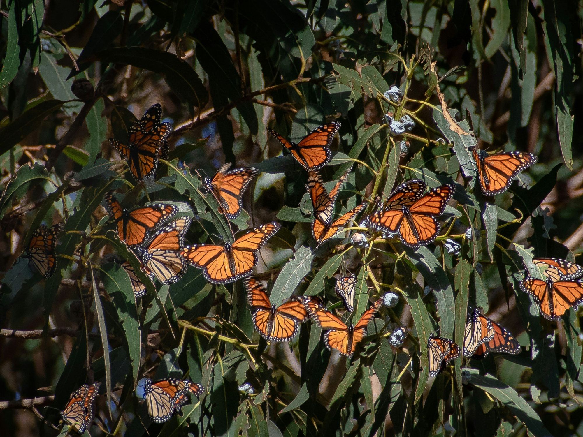 A Dangerous Crossing: The U.S.-Mexico Border Continues to Imperil ...