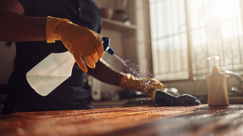 Is Professional Kitchen Cleaning Worth The Heavy Price Tag?