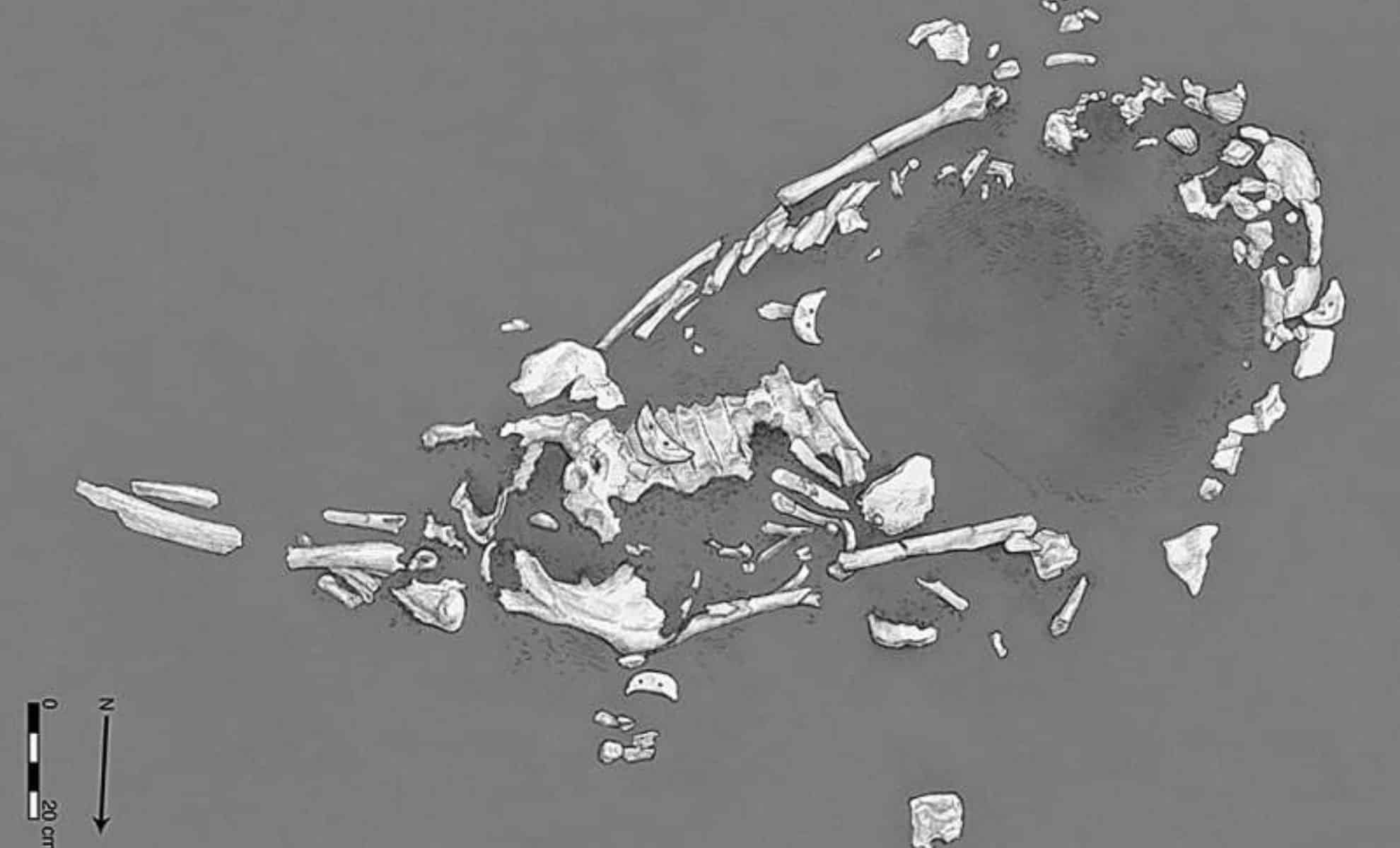 Mysterious Pre-Columbian Burial in Ecuador Hints at Lost Rituals and ...