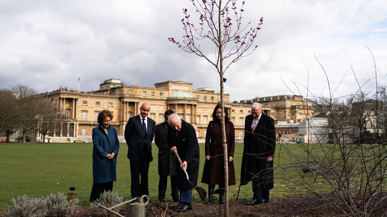 King plants tree near Palace lake to celebrate Commonwealth forest network