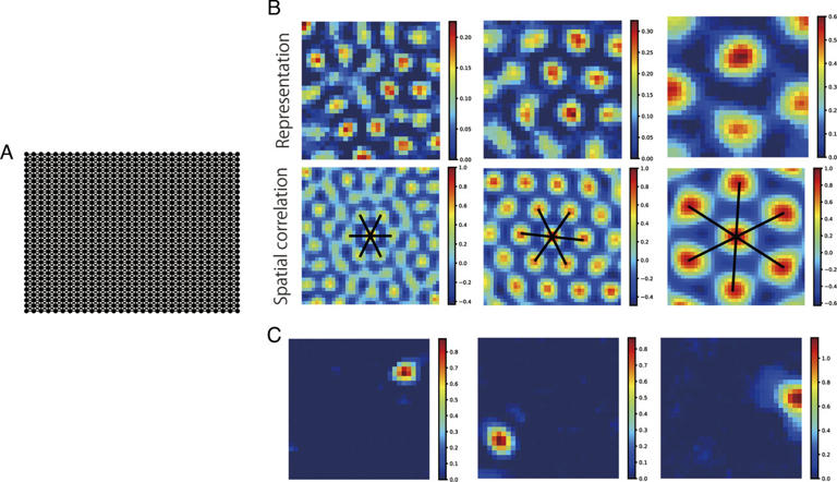 New study links spatial navigation and language processing in the brain