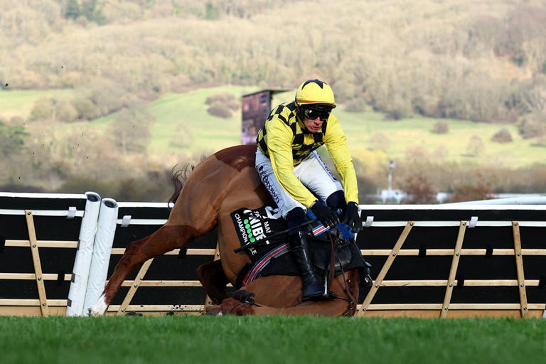 Cheltenham Festival LIVE: Day 1 results as Constitution Hill falls in Champion Hurdle; Day 2 ...