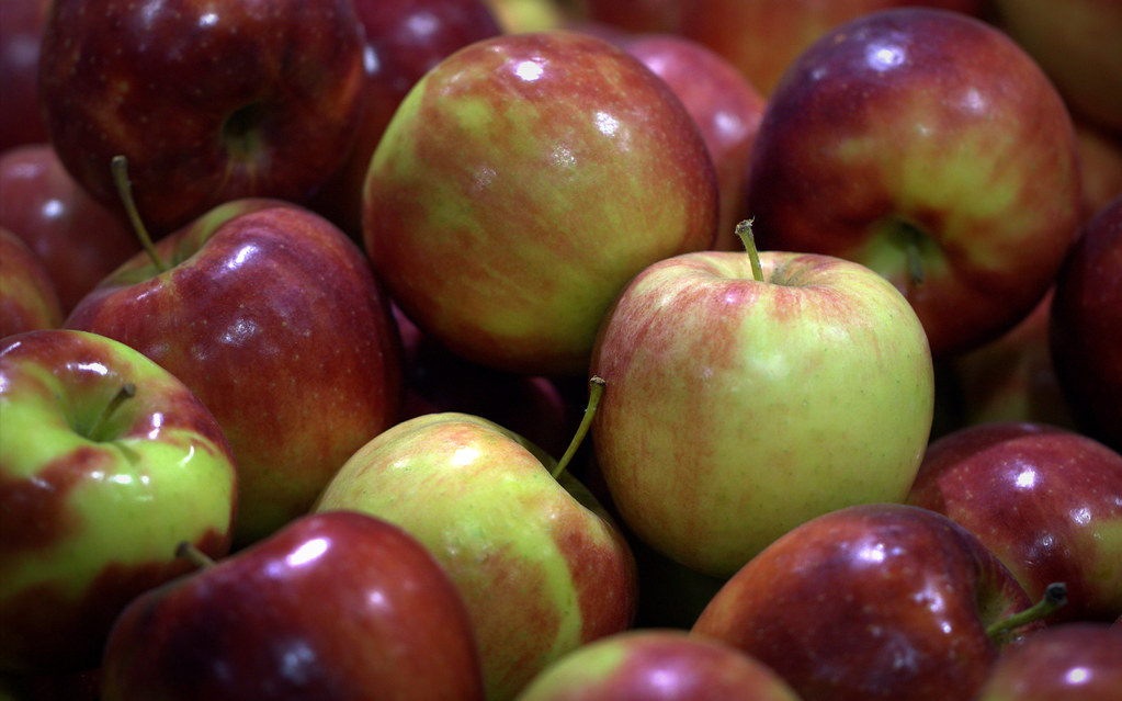 Pennsylvania's Orchard Secrets: 10 Fruits You Need to Know