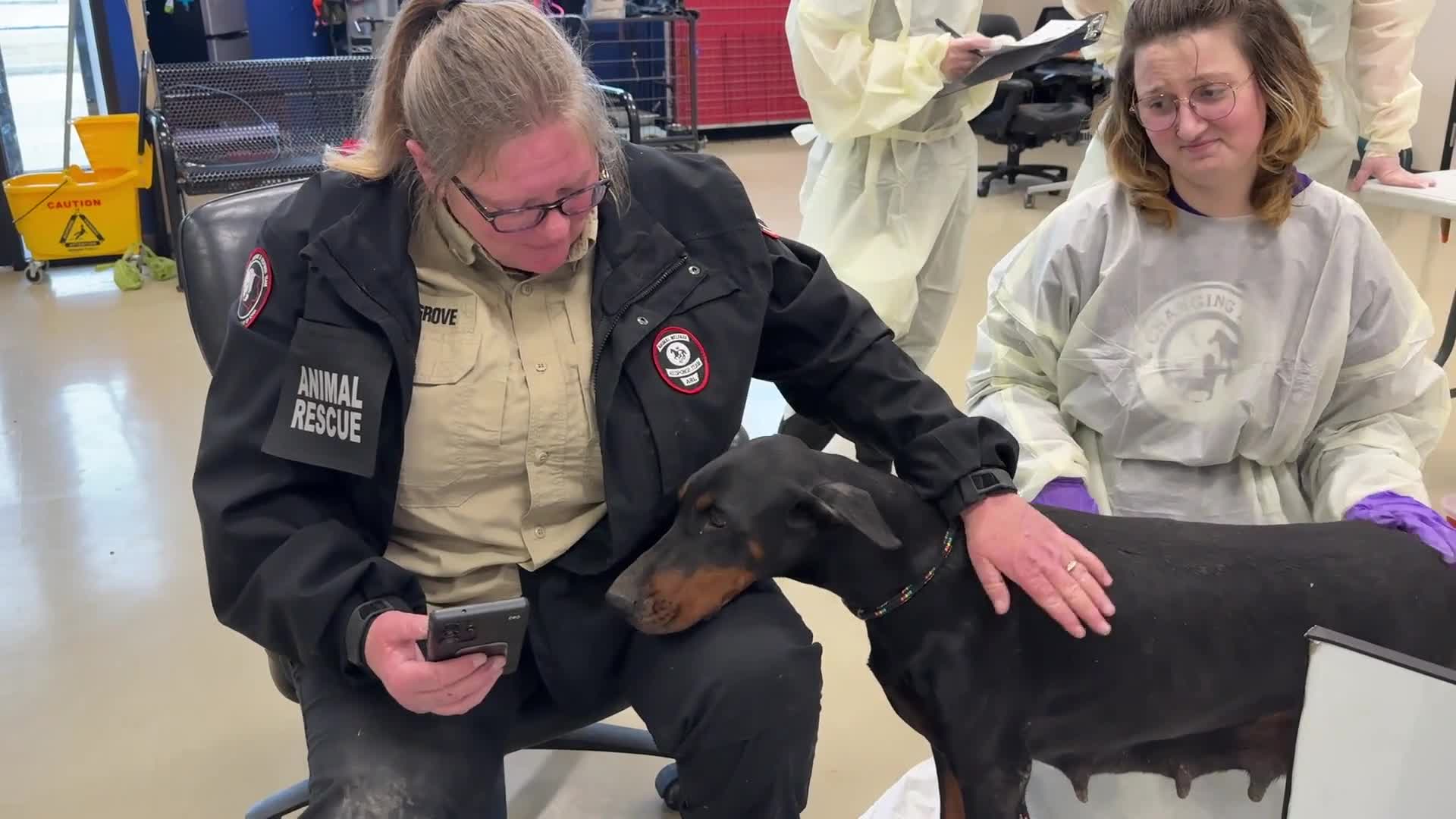 VIDEO: 49 living, 17 dead dogs removed from Washington County breeder