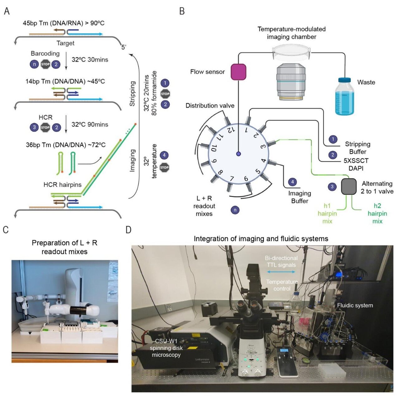 DNA barcodes enable high throughput RNA and protein detection in deep ...