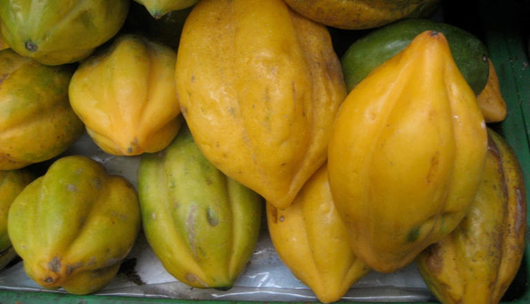 Conozca los beneficios de la papayuela, un tesoro andino para ...