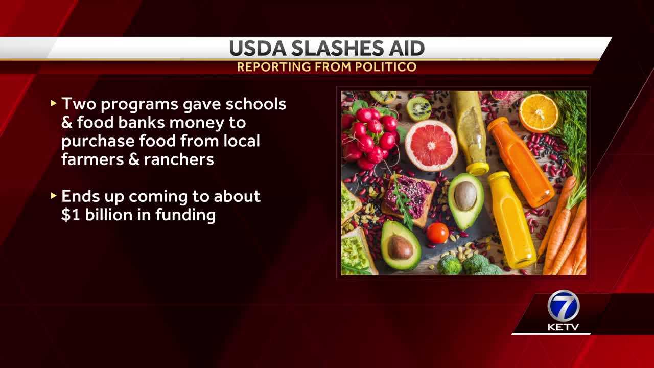 USDA cuts funding for schools and food banks to purchase food from ...